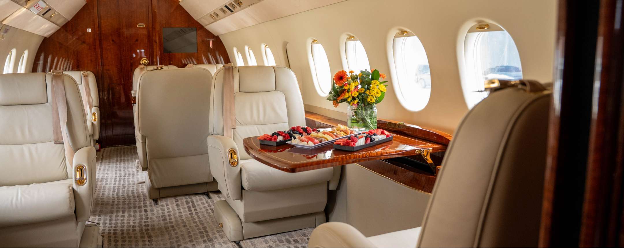 N360M | Thrive Aviation